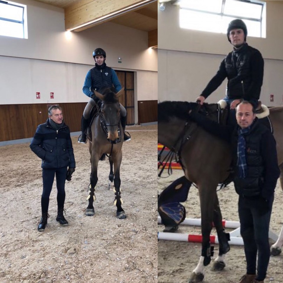 Real Federación Hípica Española